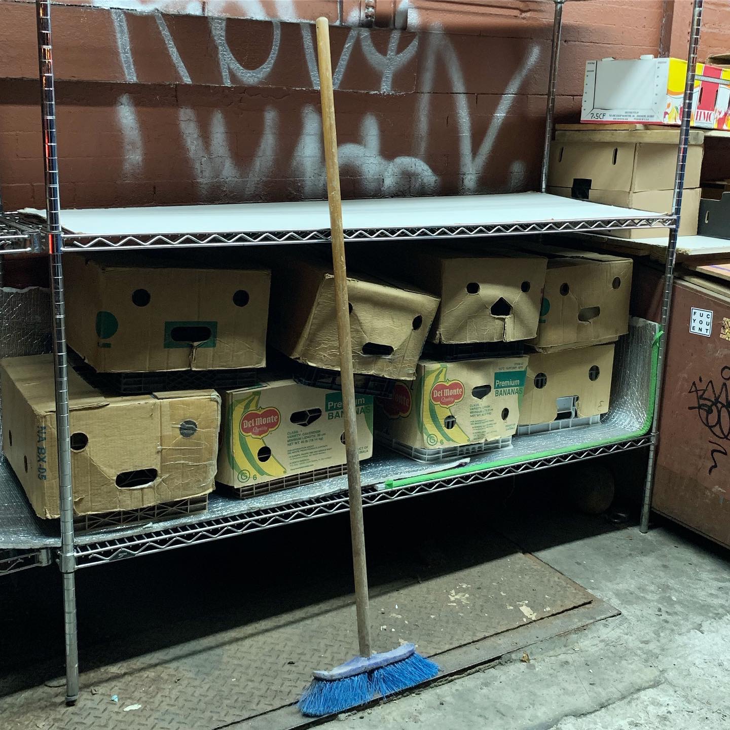 larissa pham is an artist and writer in brooklyn