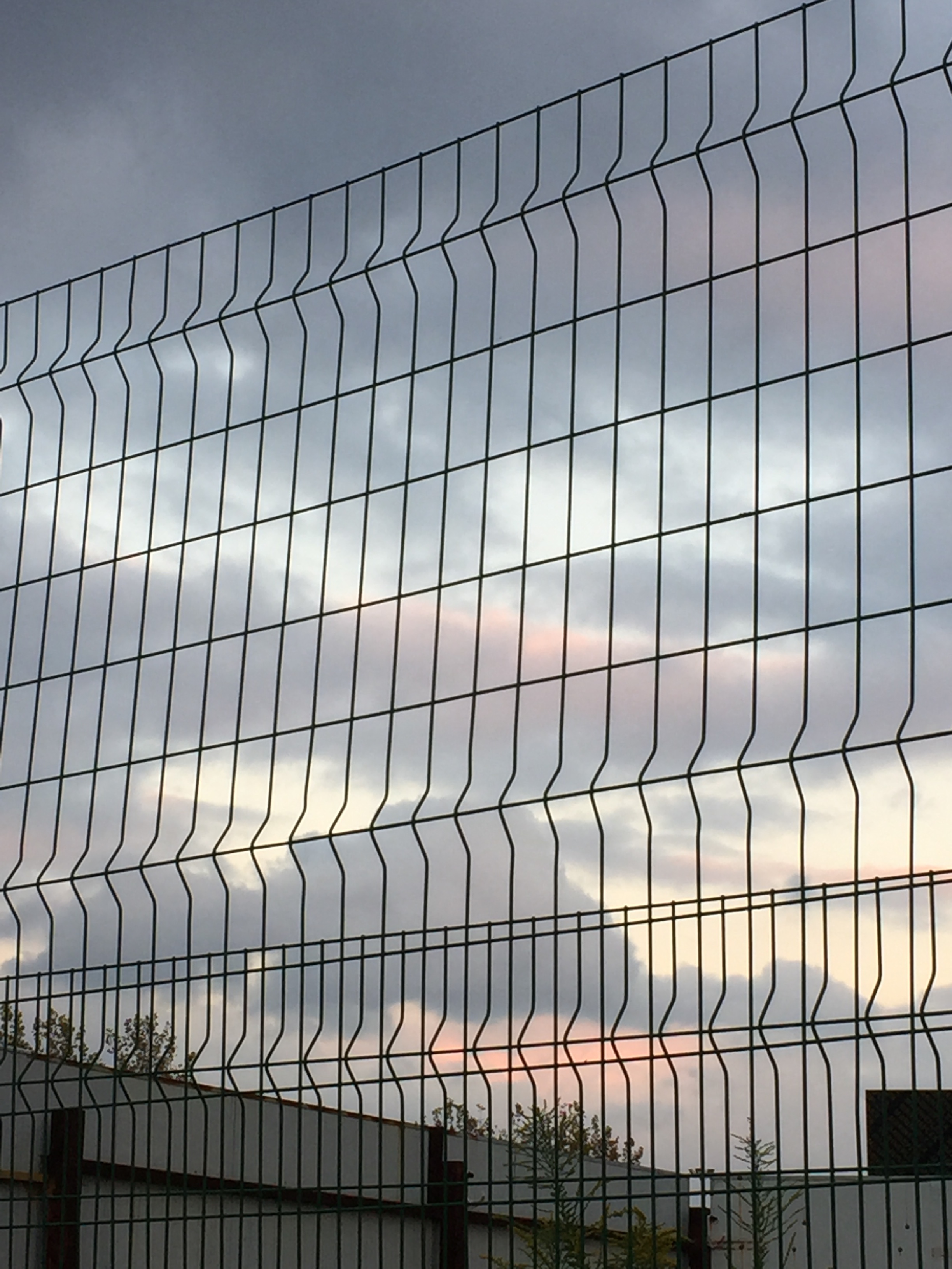 larissa pham is an artist and writer in brooklyn